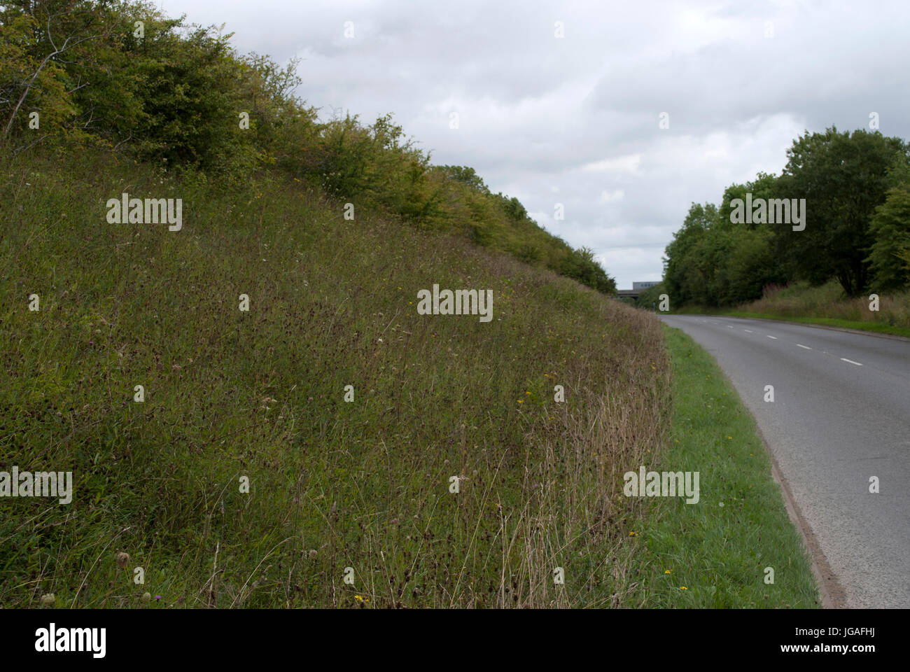 Sloping grass verge on embankment next to a road Stock Photo - Alamy