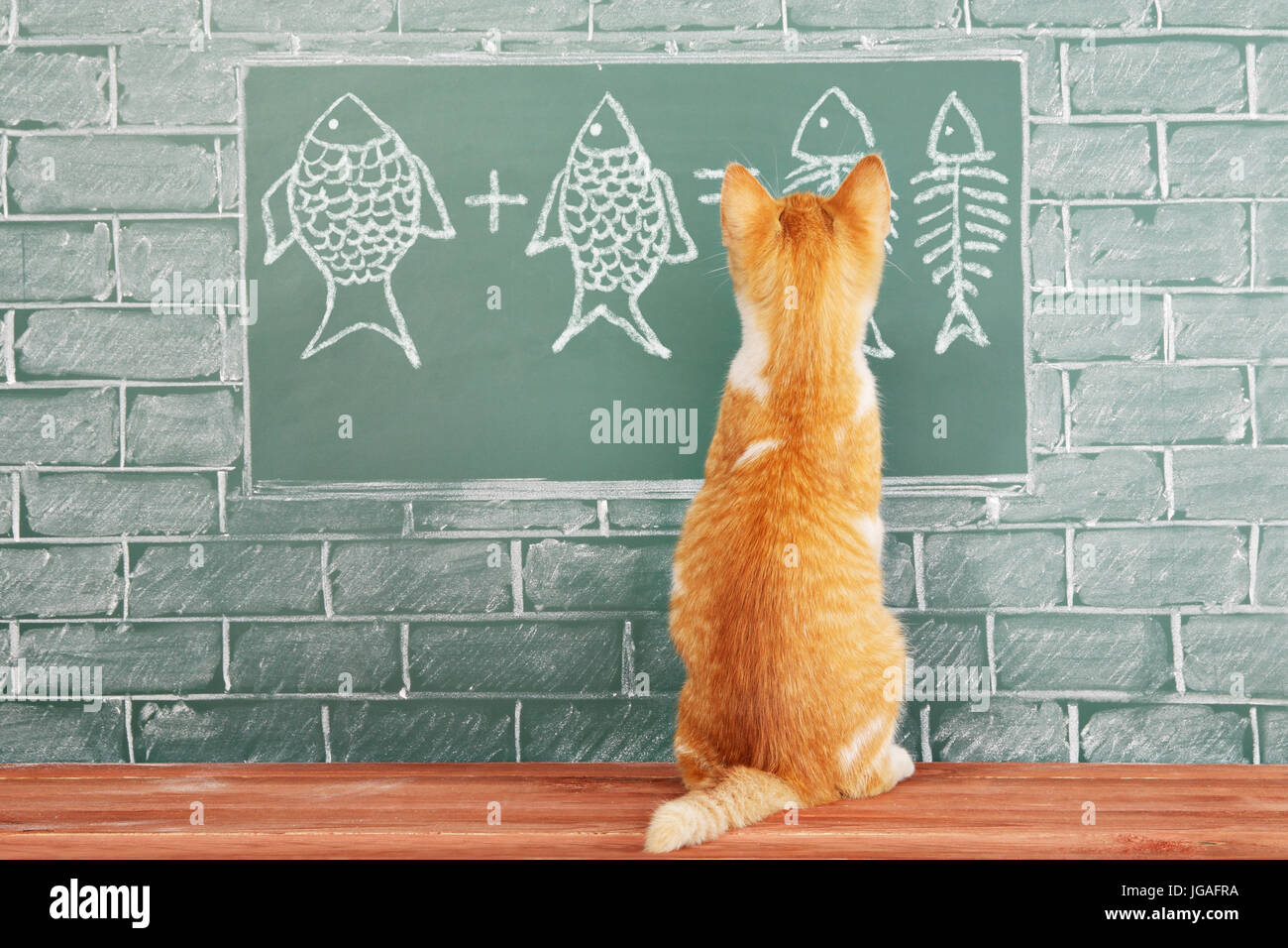 Education idea about foxy Cat studied mathematics on example of ...