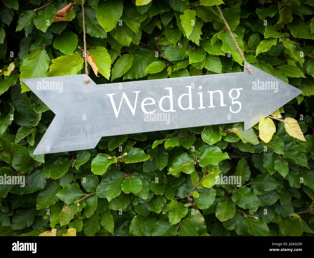 A wooden wedding sign giving directions to the wedding ceremony Stock ...
