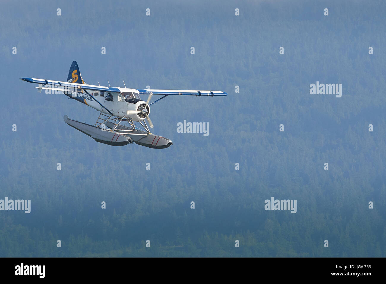 A Classic Harbour Air Seaplanes de Havilland DHC-2 Beaver In The ...