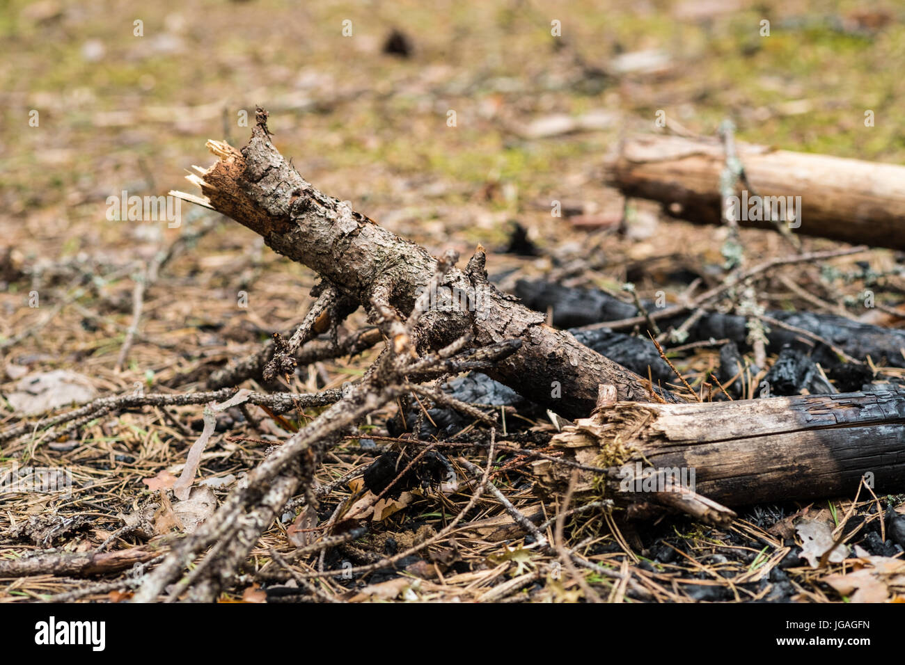 Pile of ashes hi-res stock photography and images - Alamy
