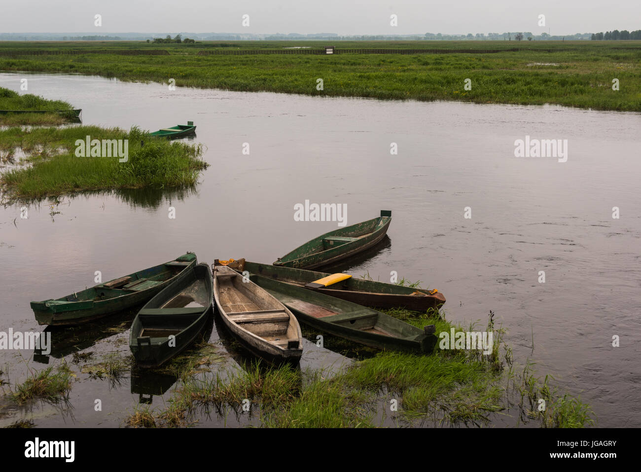 Narew National Park Stock Photo - Alamy