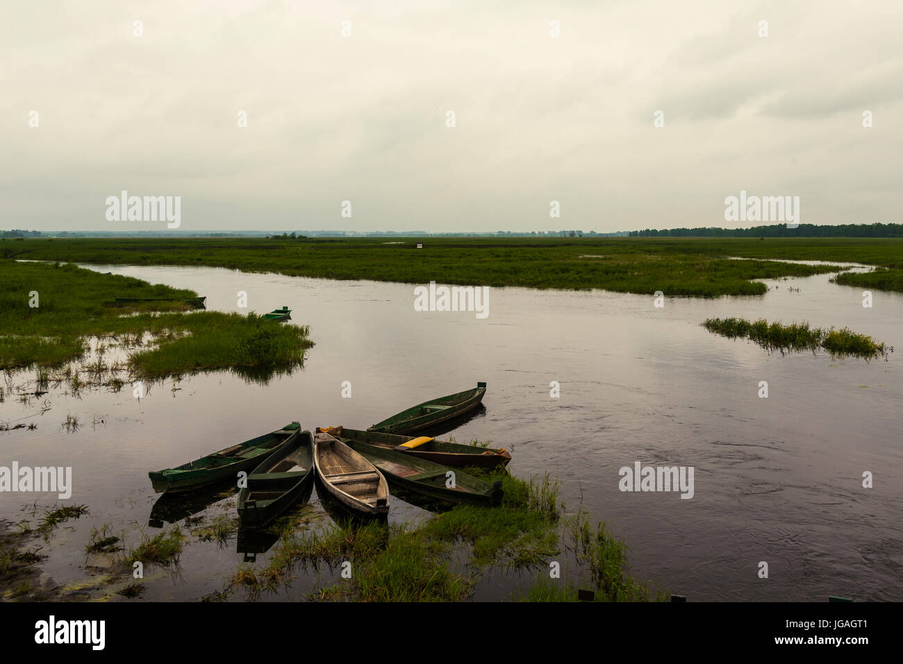 Narew National Park Stock Photo - Alamy