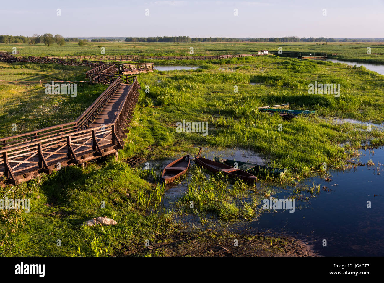 Narew National Park Stock Photo - Alamy