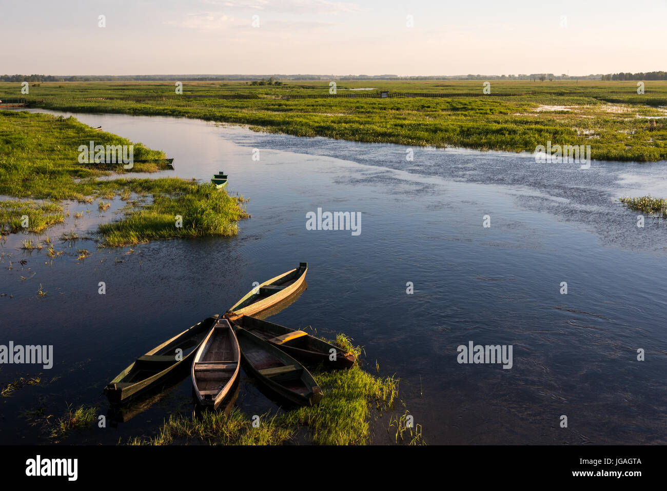 Narew national park hi-res stock photography and images - Alamy