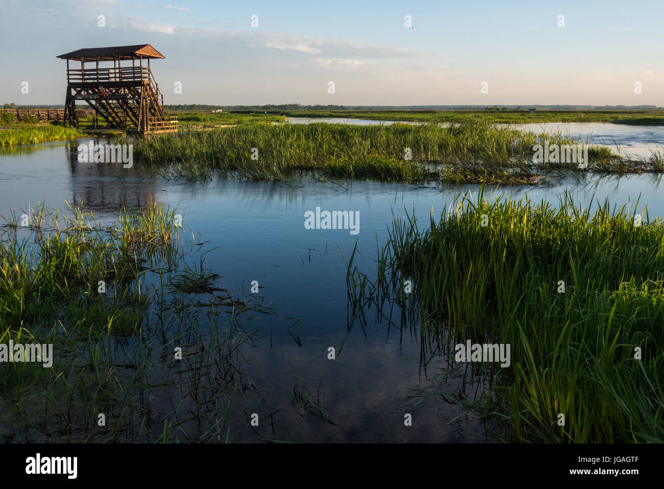Narew National Park Stock Photo - Alamy