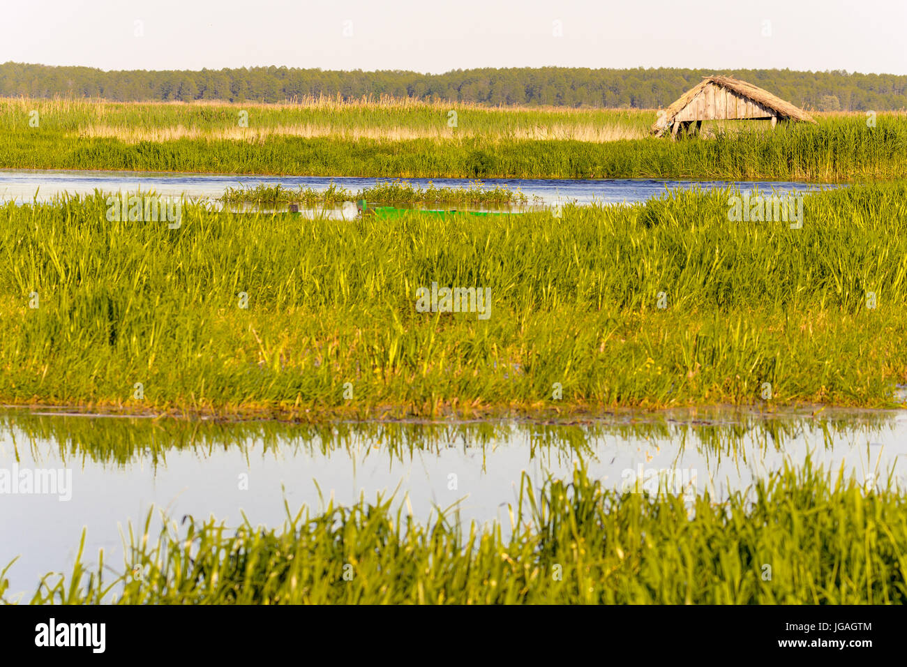 Narew National Park Stock Photo - Alamy