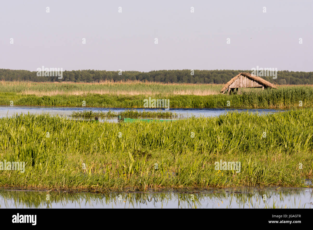 Narew national park hi-res stock photography and images - Alamy