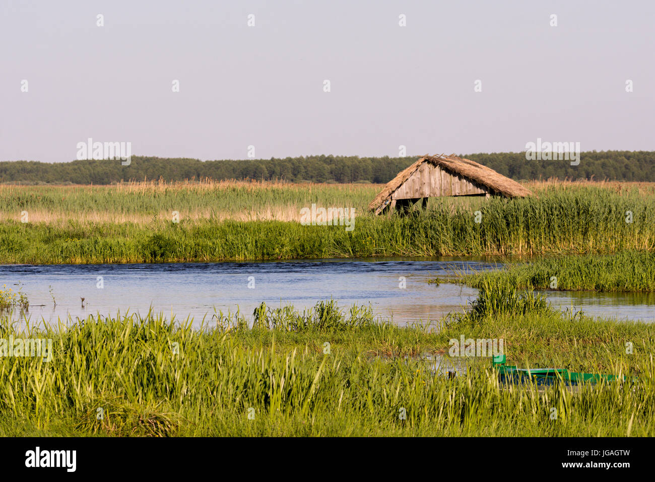 Narew National Park Stock Photo - Alamy