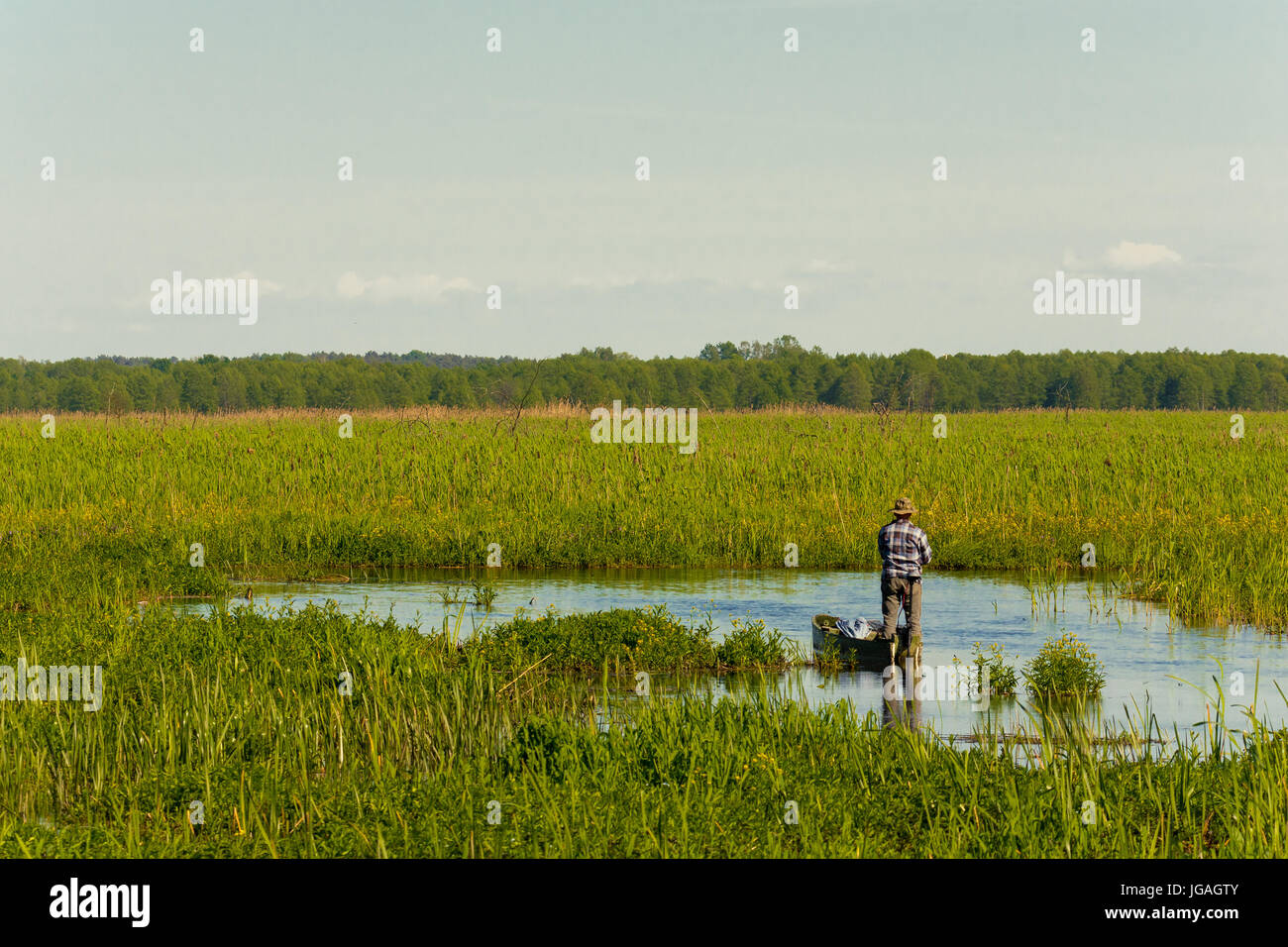 Narew National Park Stock Photo - Alamy