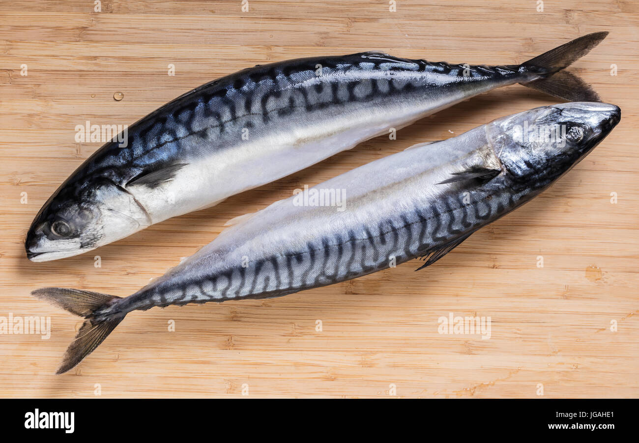 Two mackerel hi-res stock photography and images - Alamy