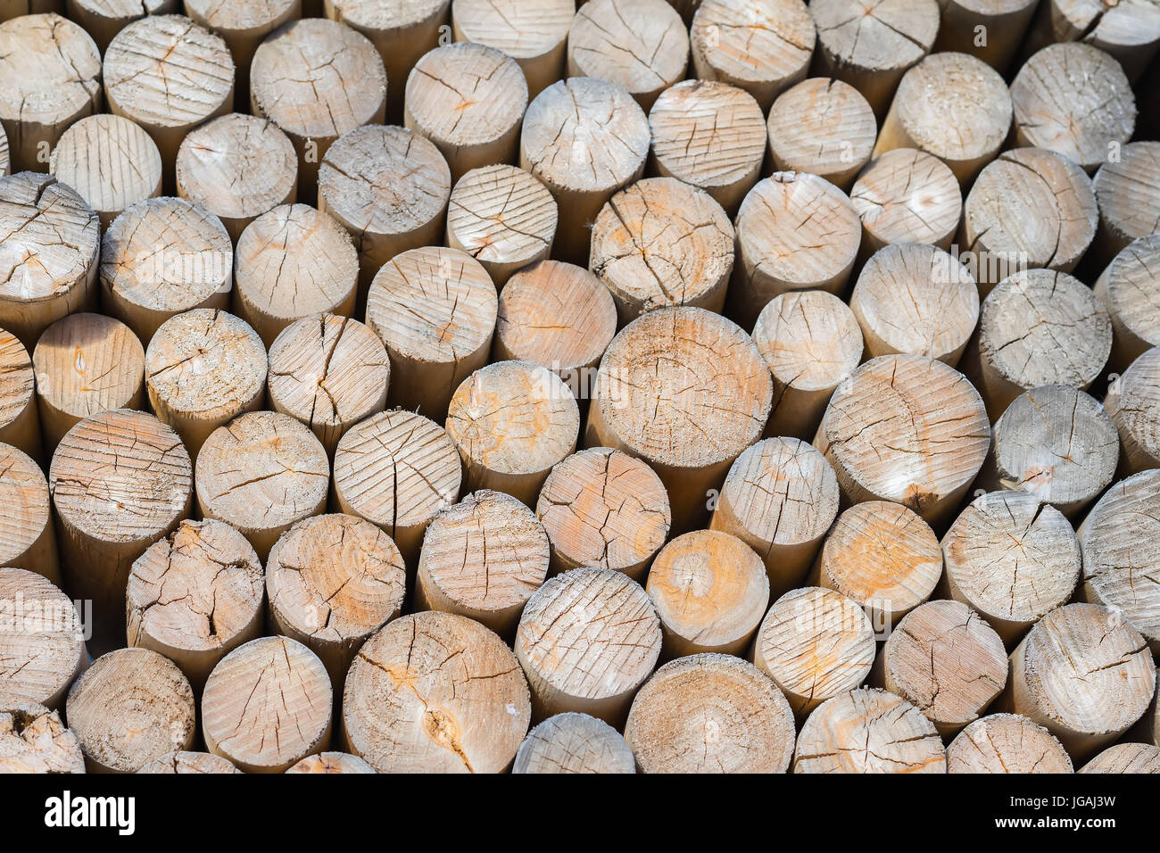 Pile of organik wooden logs with cross section of timber, firewood ...