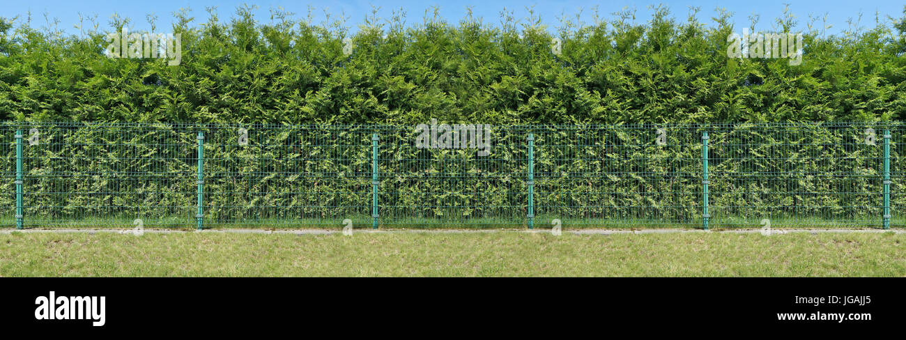 Metal fence and hedge hi-res stock photography and images - Alamy