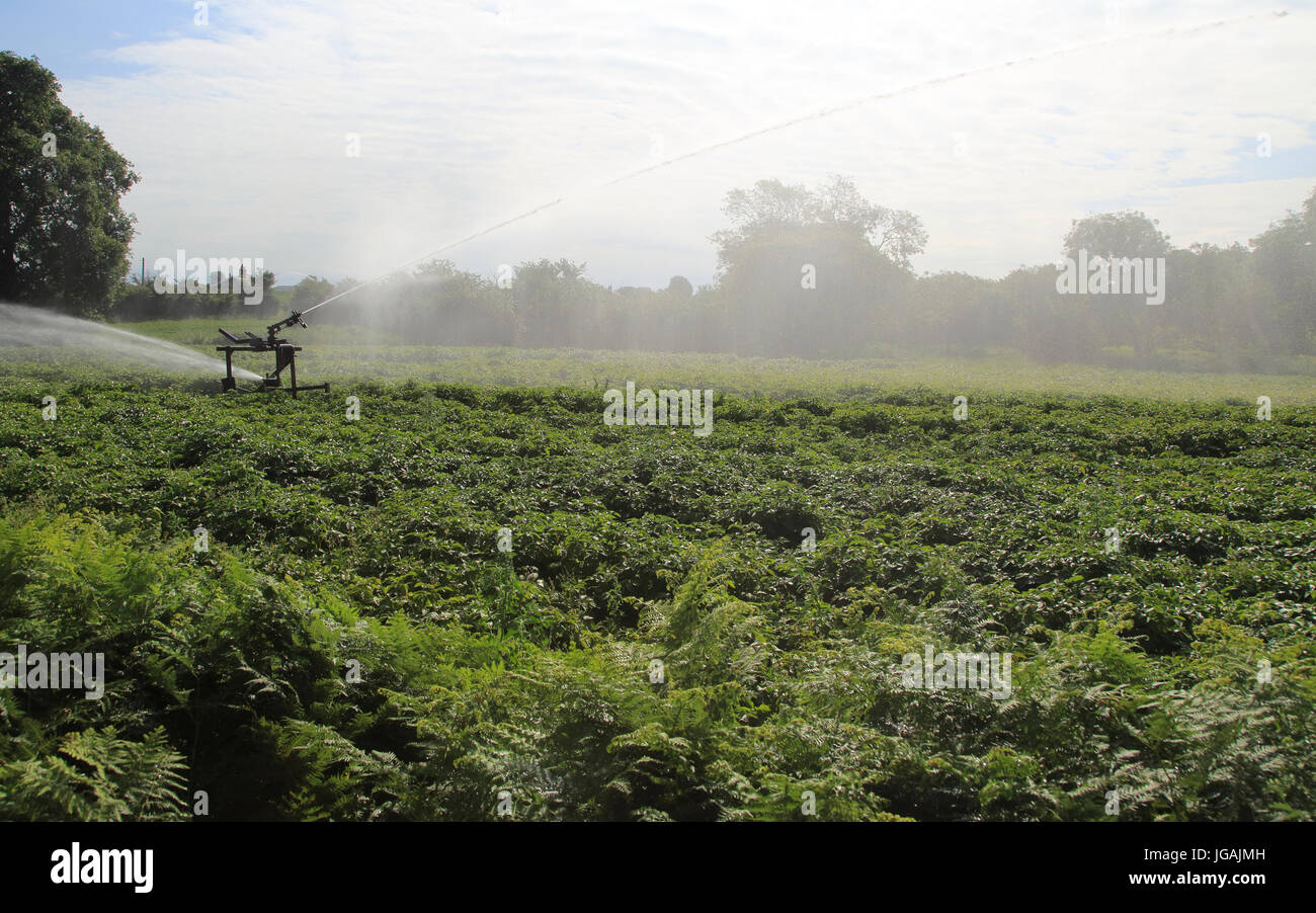 Crops spray uk hi-res stock photography and images - Alamy