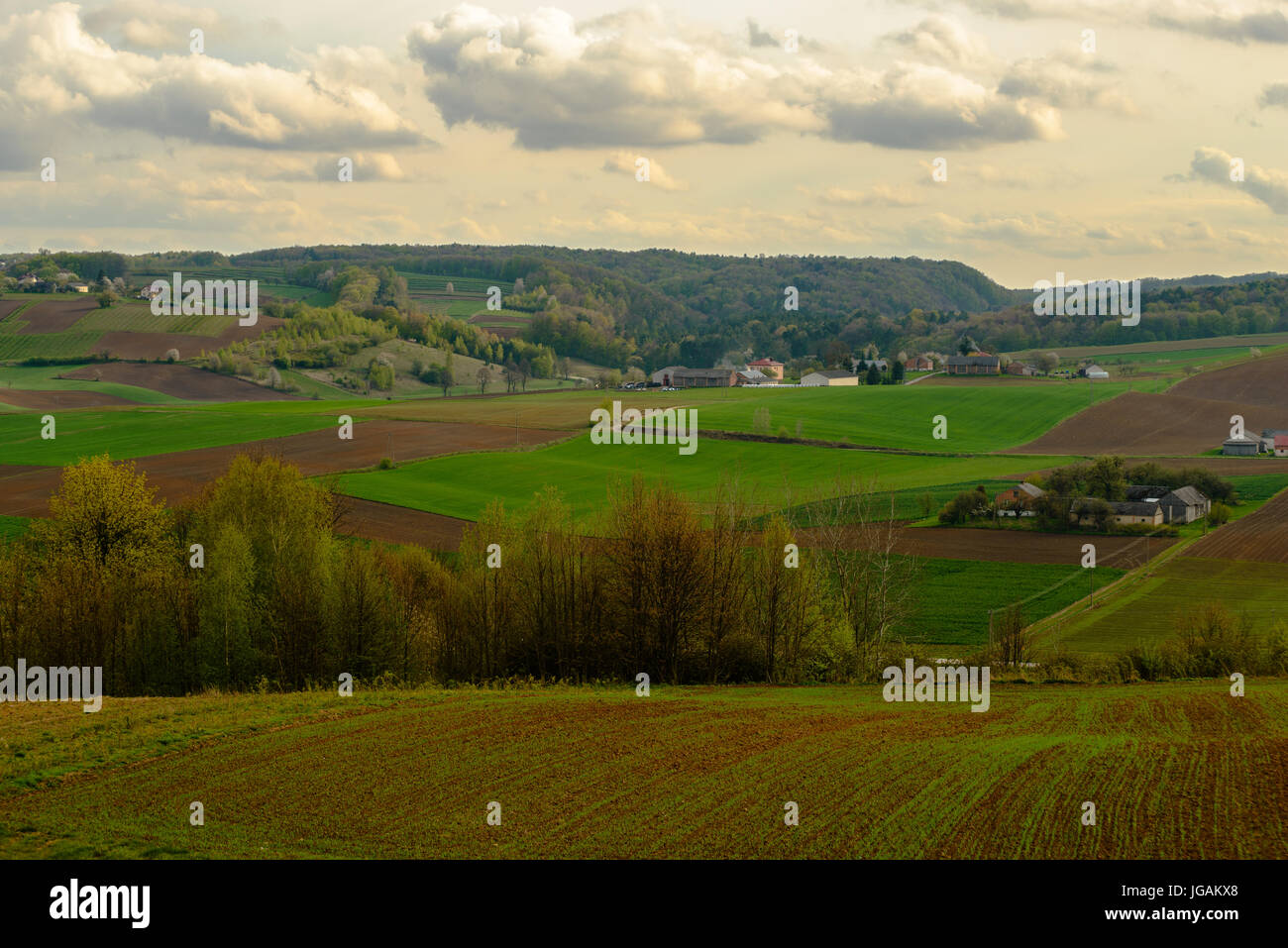 Roztocze, beautiful region in Poland Stock Photo - Alamy