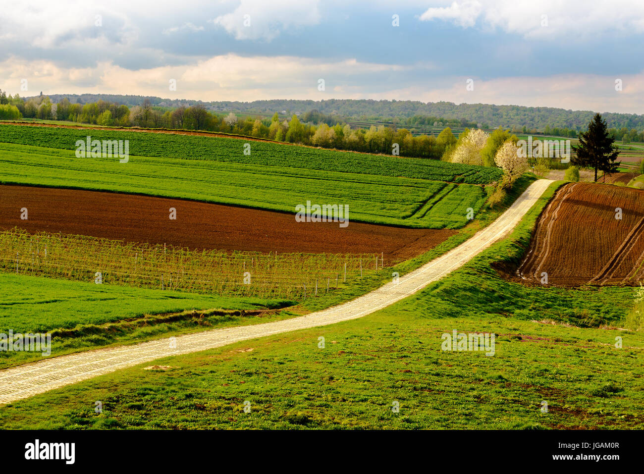 Agriculture in poland hi-res stock photography and images - Alamy