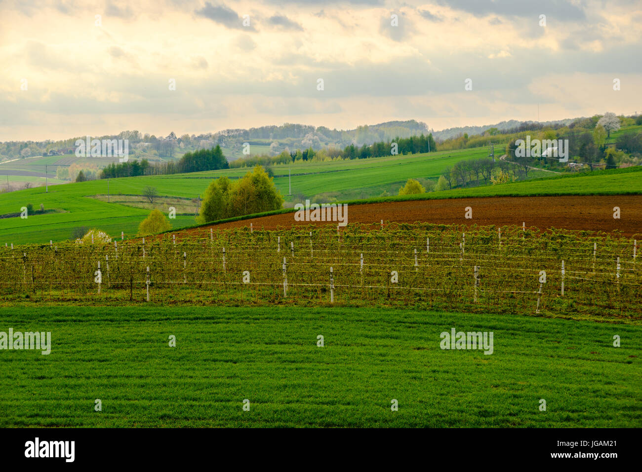 Roztocze, beautiful region in Poland Stock Photo - Alamy