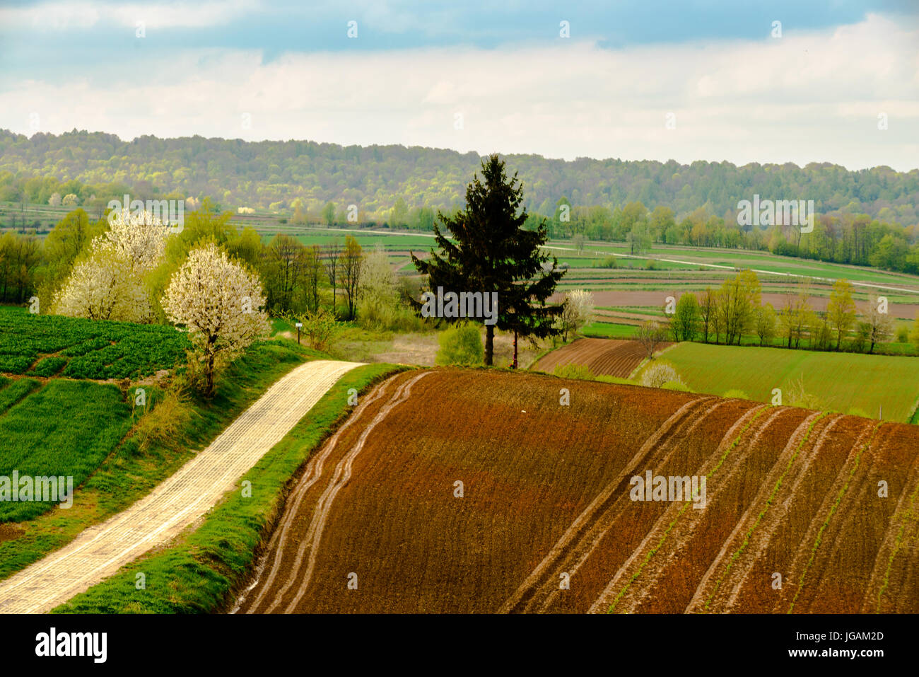 Roztocze, beautiful region in Poland Stock Photo - Alamy