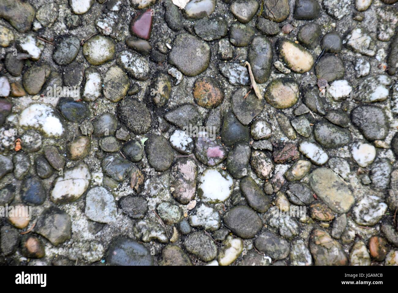round stone path Stock Photo - Alamy