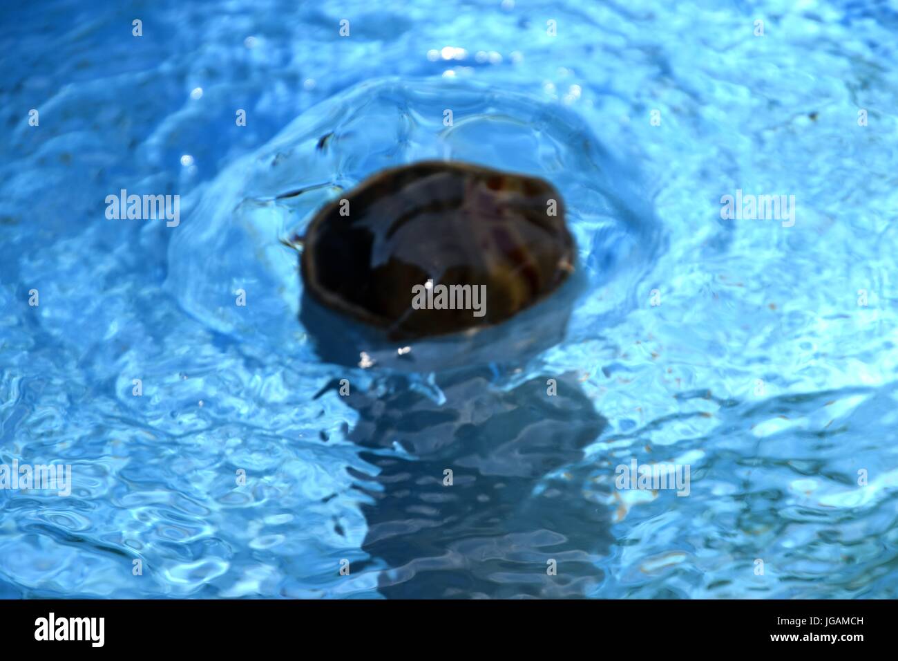 Drain a swimming pool hi-res stock photography and images - Alamy