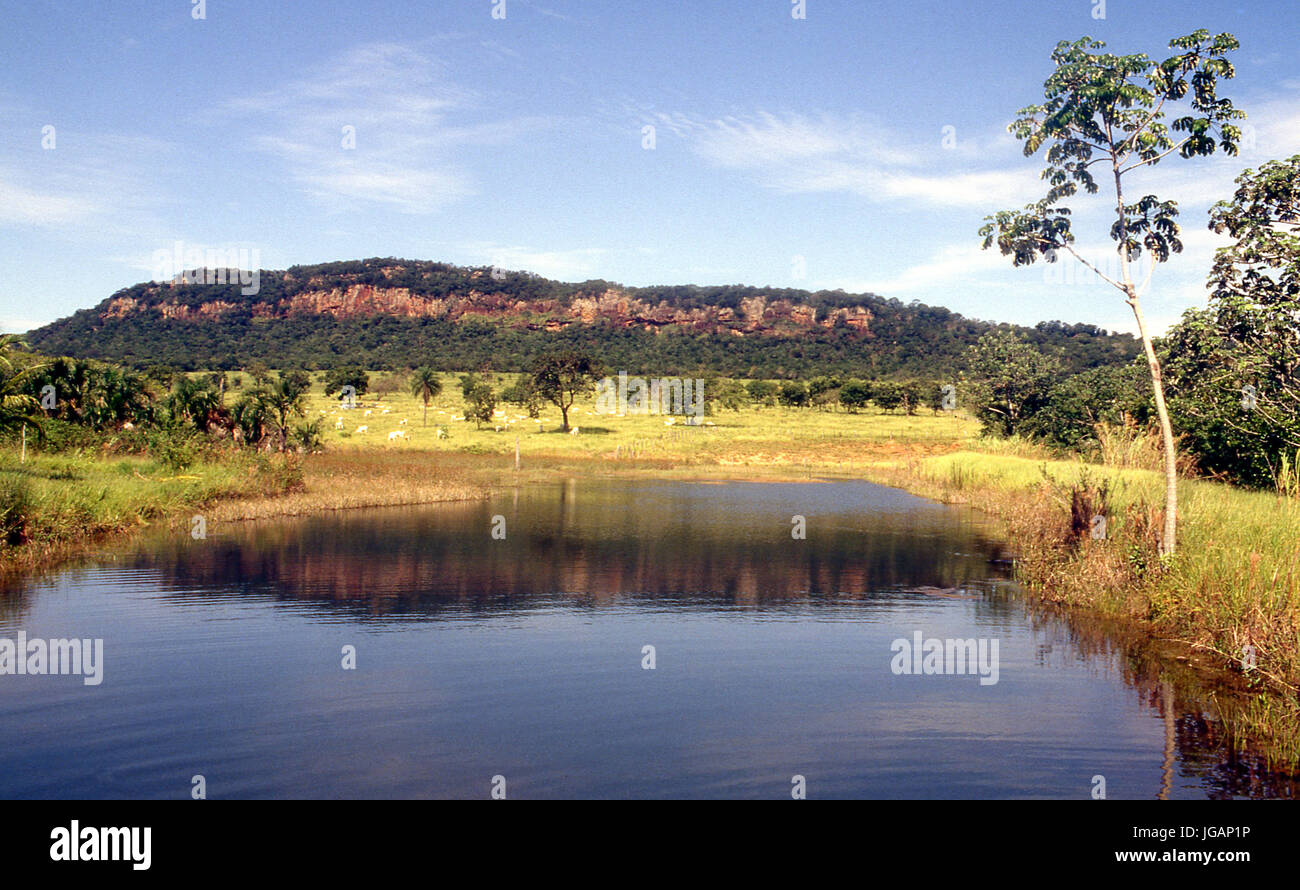 The pasture sheets hi-res stock photography and images - Alamy
