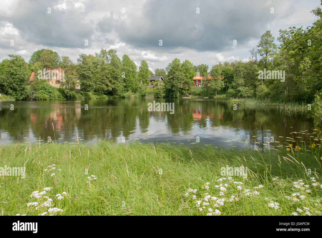 By the river in summer Stock Photo - Alamy