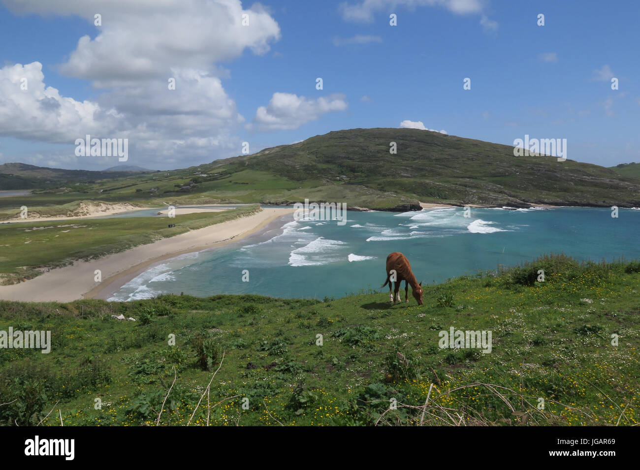 Schull hi-res stock photography and images - Alamy
