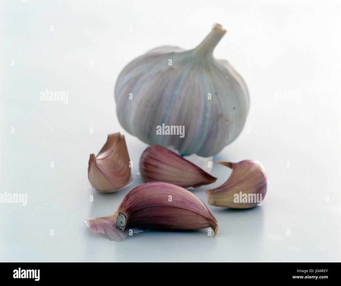 Escamiformes leaves hi-res stock photography and images - Alamy