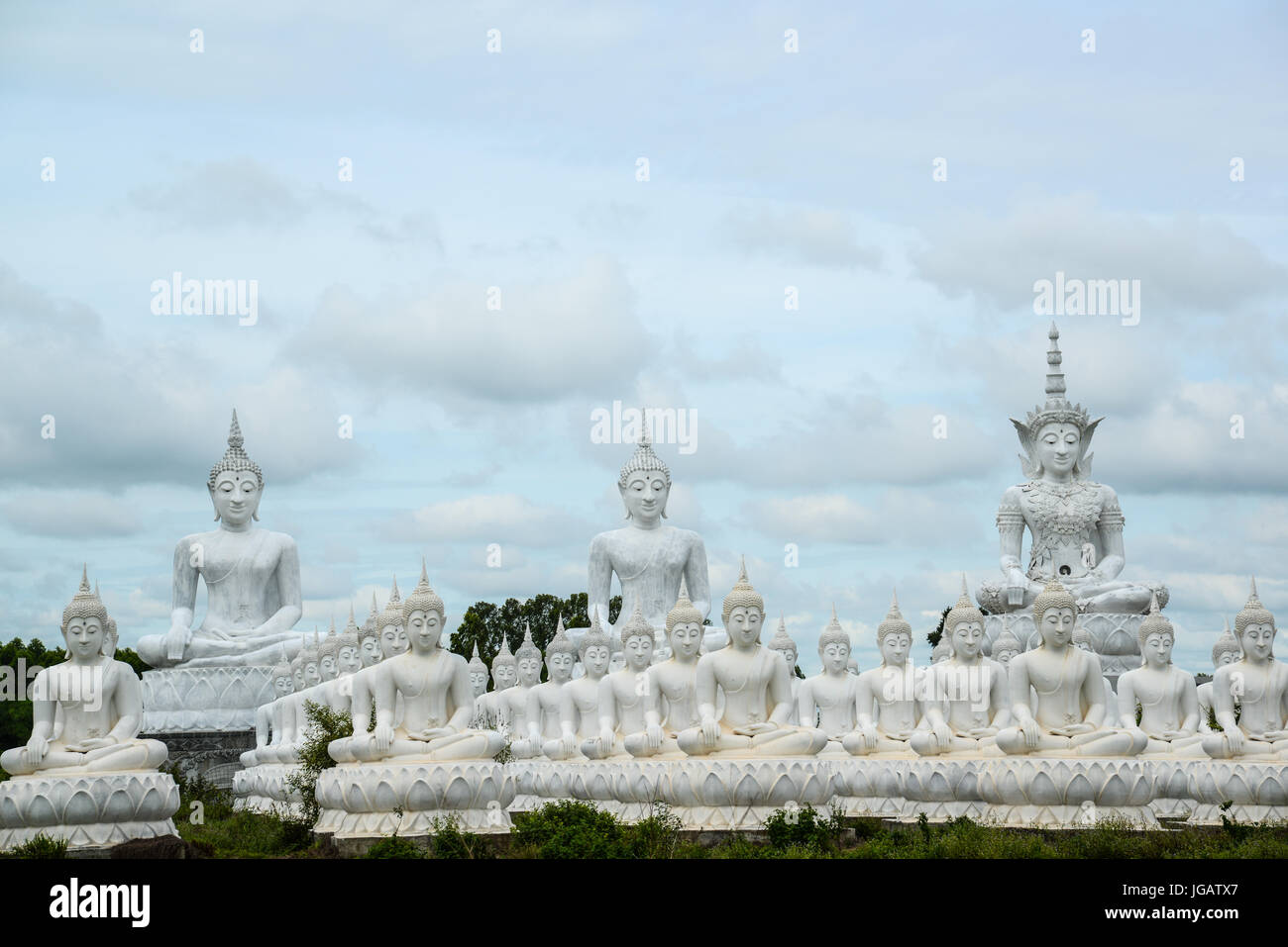 Group of white Buddha image in the field Stock Photo - Alamy