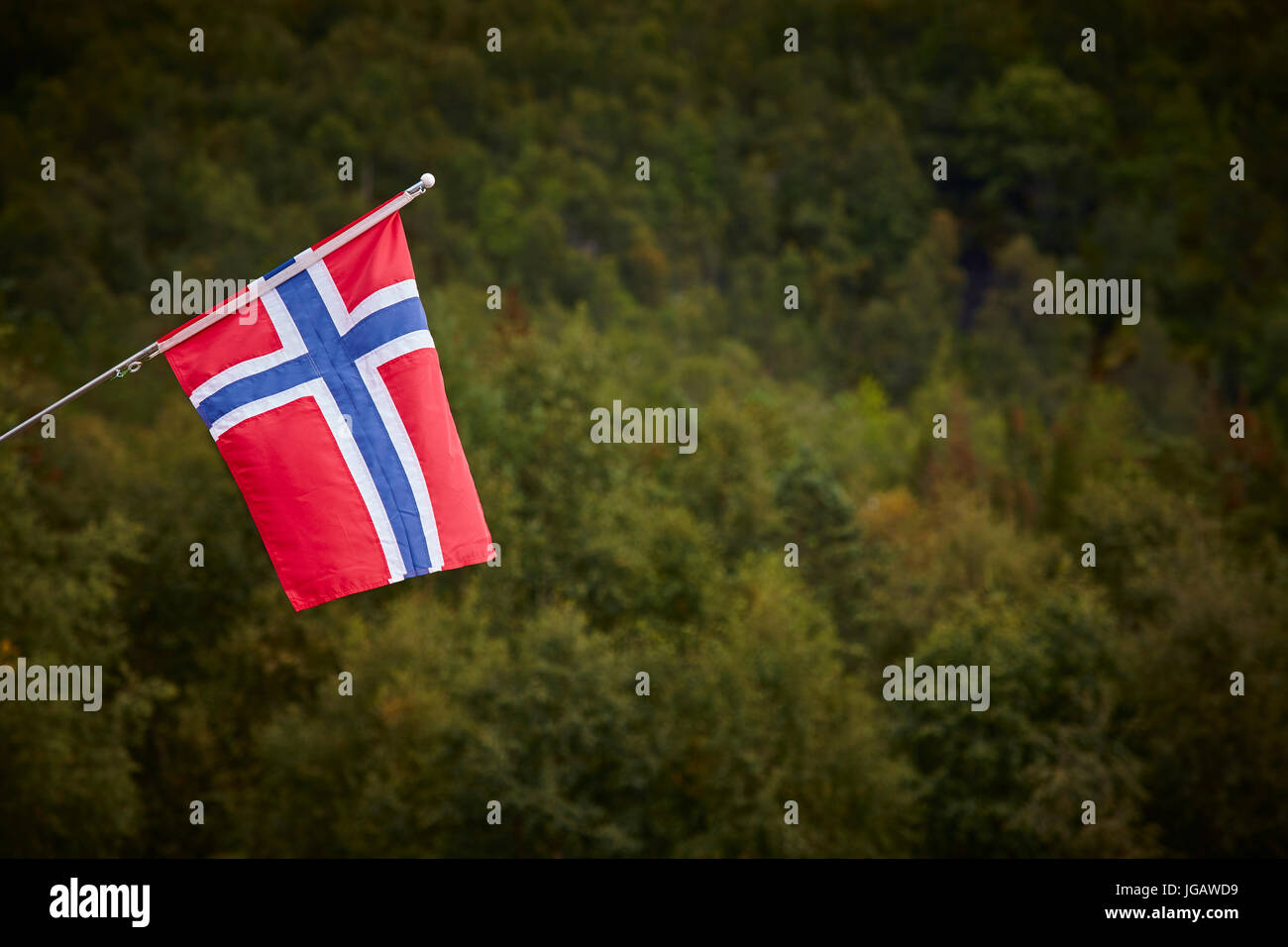 Norwegian flag with green forest landscape background. Norway symbol ...