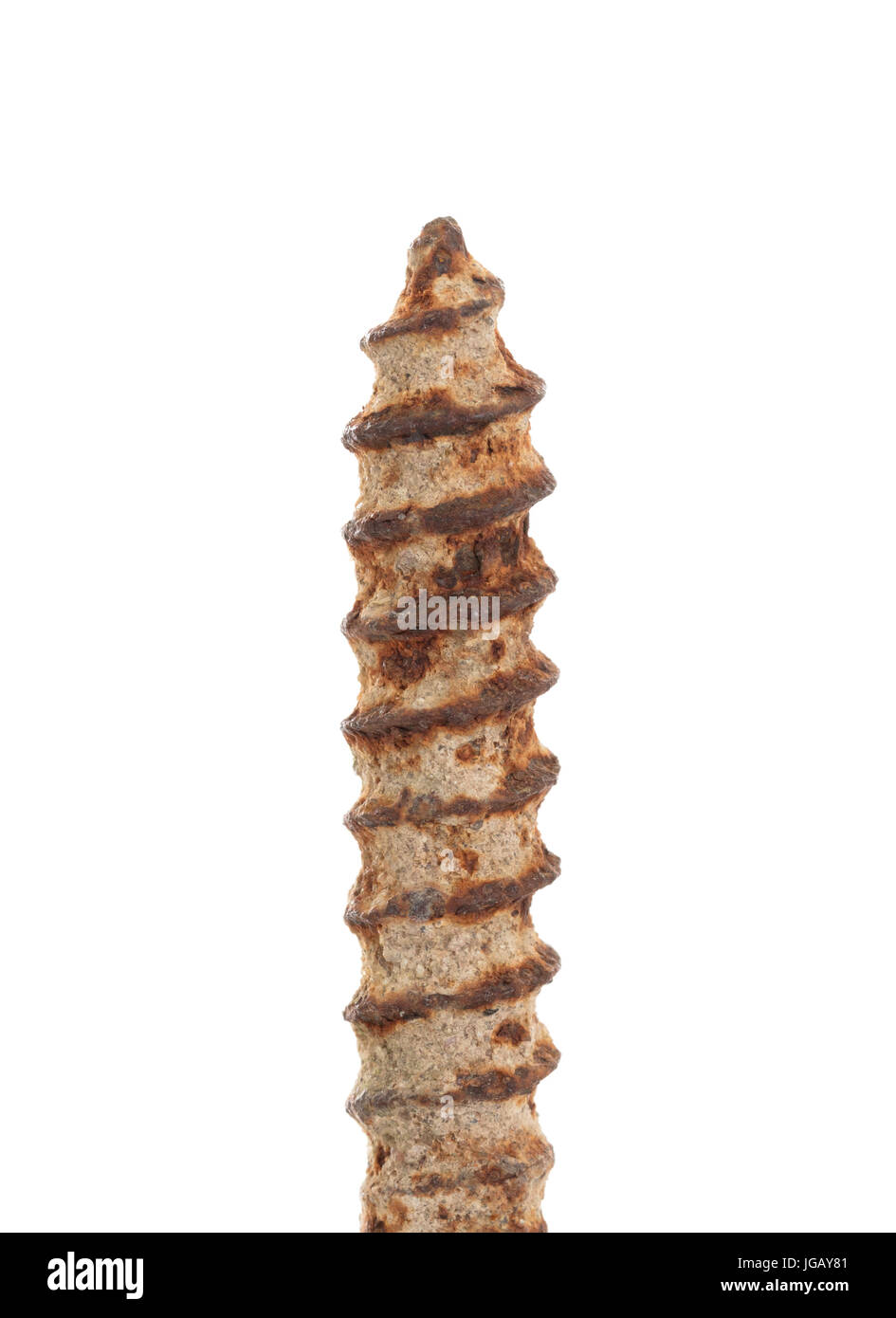 Rusted old screw isolated on white background Stock Photo - Alamy