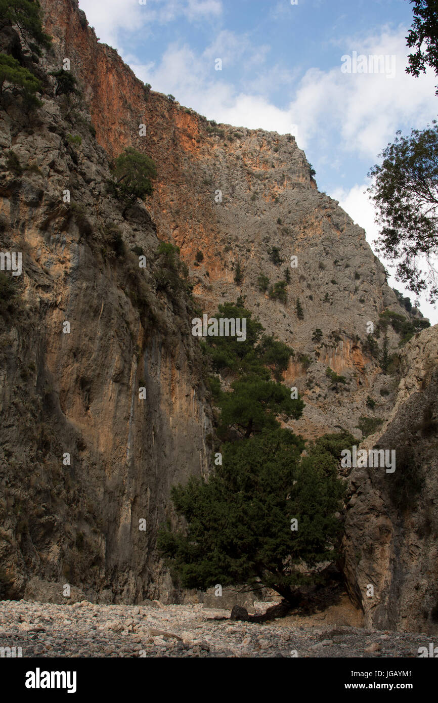 Aradena Gorge is a deep limestone canyon running from the Lefka Ori or ...