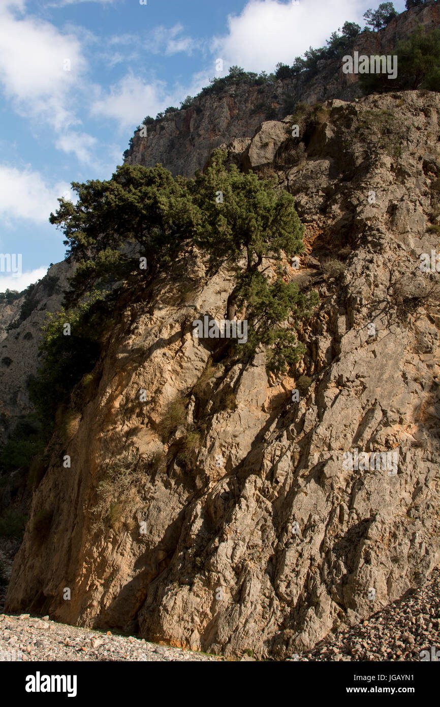 Aradena Gorge is a deep limestone canyon running from the Lefka Ori or ...