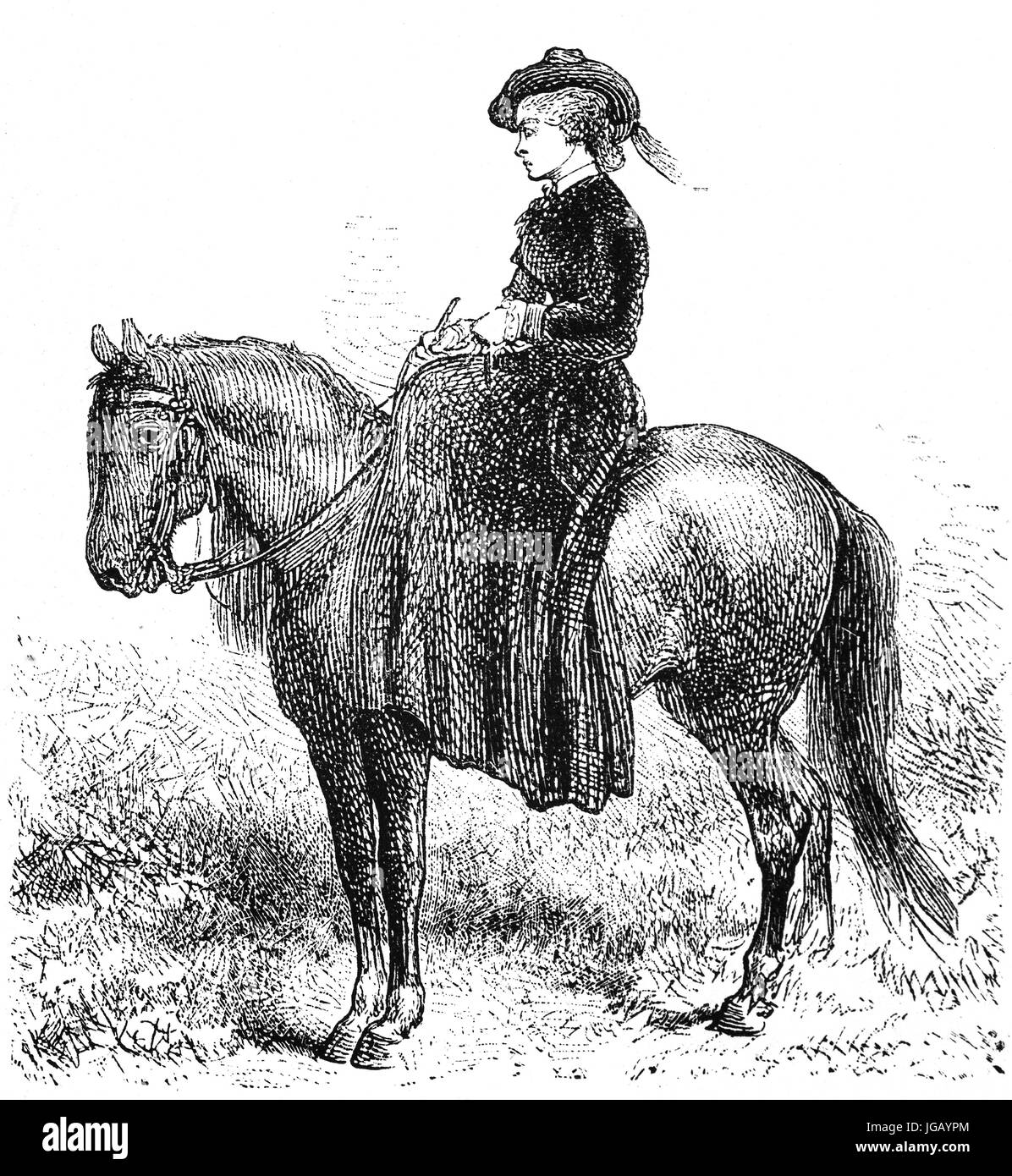 Sidesaddle hi-res stock photography and images - Alamy