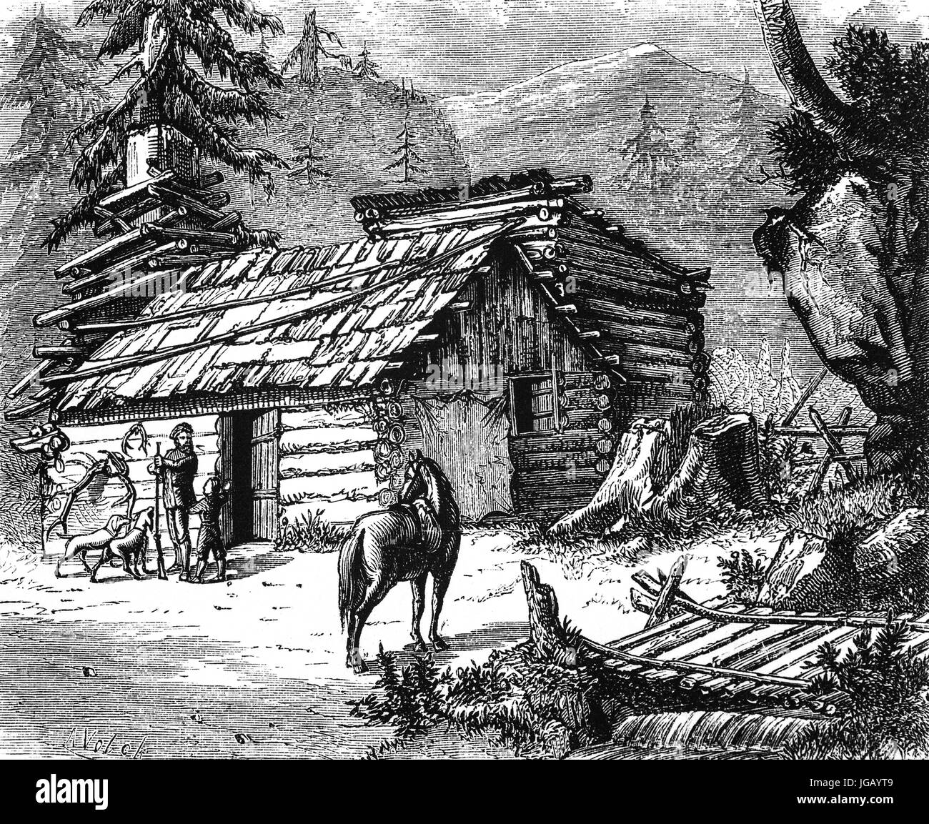 Cabin animals hi-res stock photography and images - Alamy