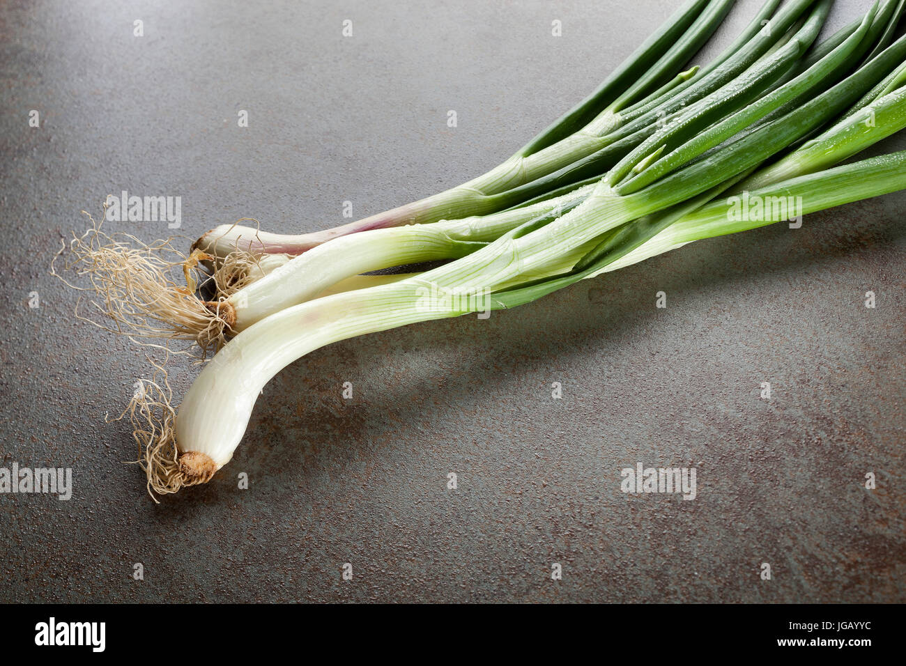 Fresh green onion stalks with water drops on ceramic hob background ...