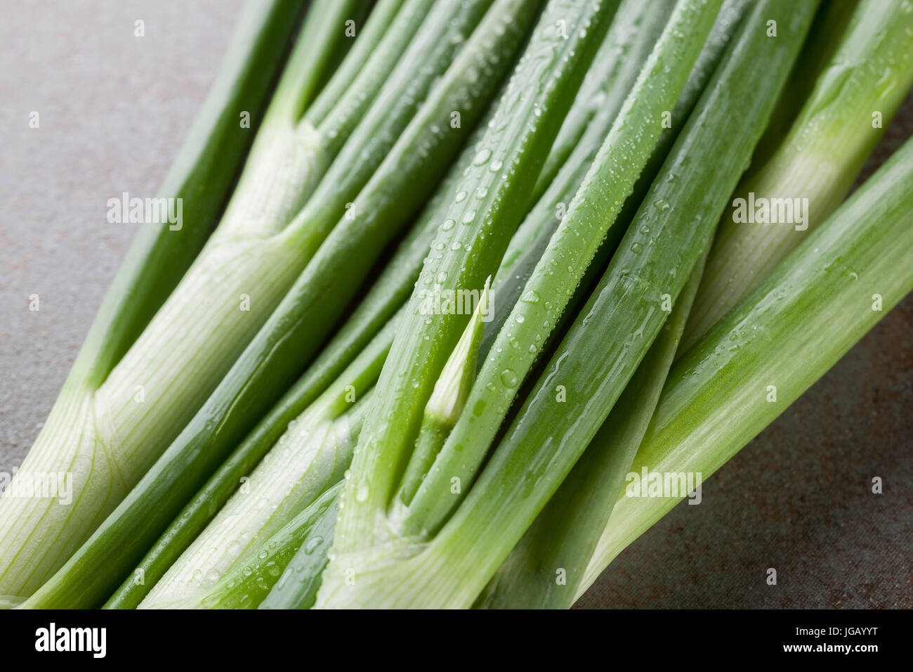 Closeup view of fesh green onion stalks over ceramic hob Stock Photo ...