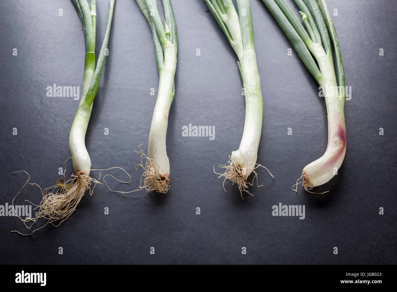 Onion stalks and stems hi-res stock photography and images - Alamy