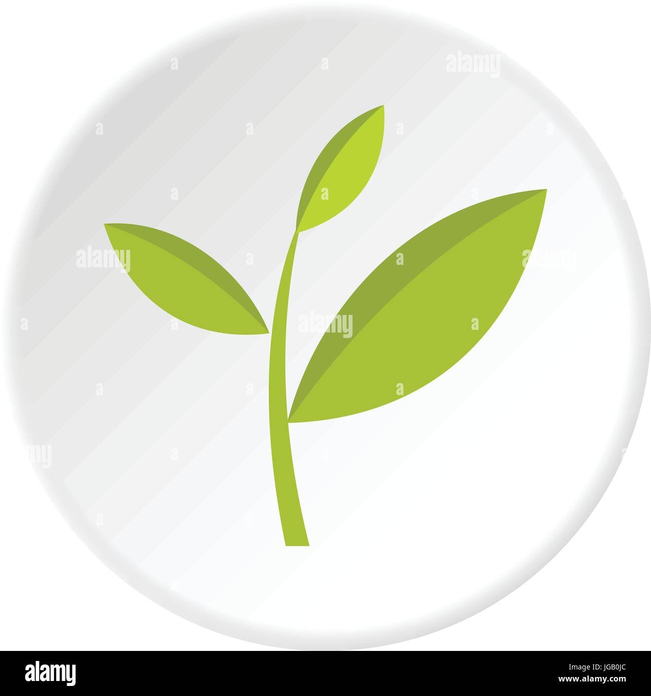 Tea plant icon circle Stock Vector Image & Art - Alamy
