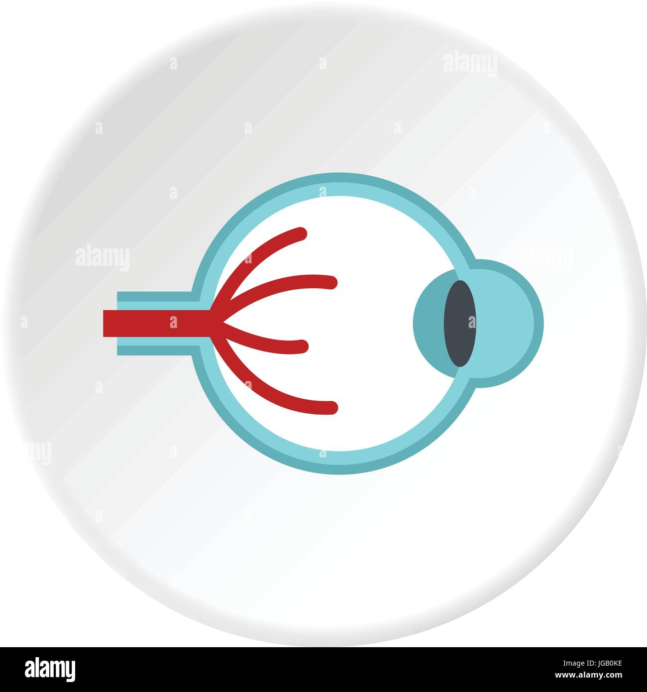 Eye anatomy icon circle Stock Vector Image & Art - Alamy