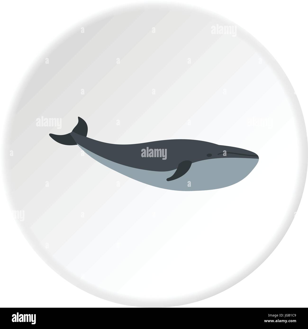 Whale icon circle Stock Vector Image & Art - Alamy