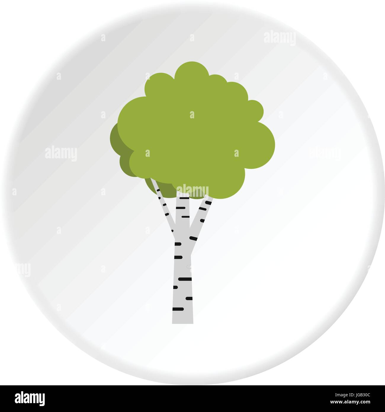 Birch tree crown Stock Vector Images - Alamy