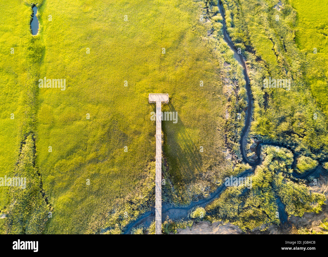Swamp bridge hi-res stock photography and images - Alamy