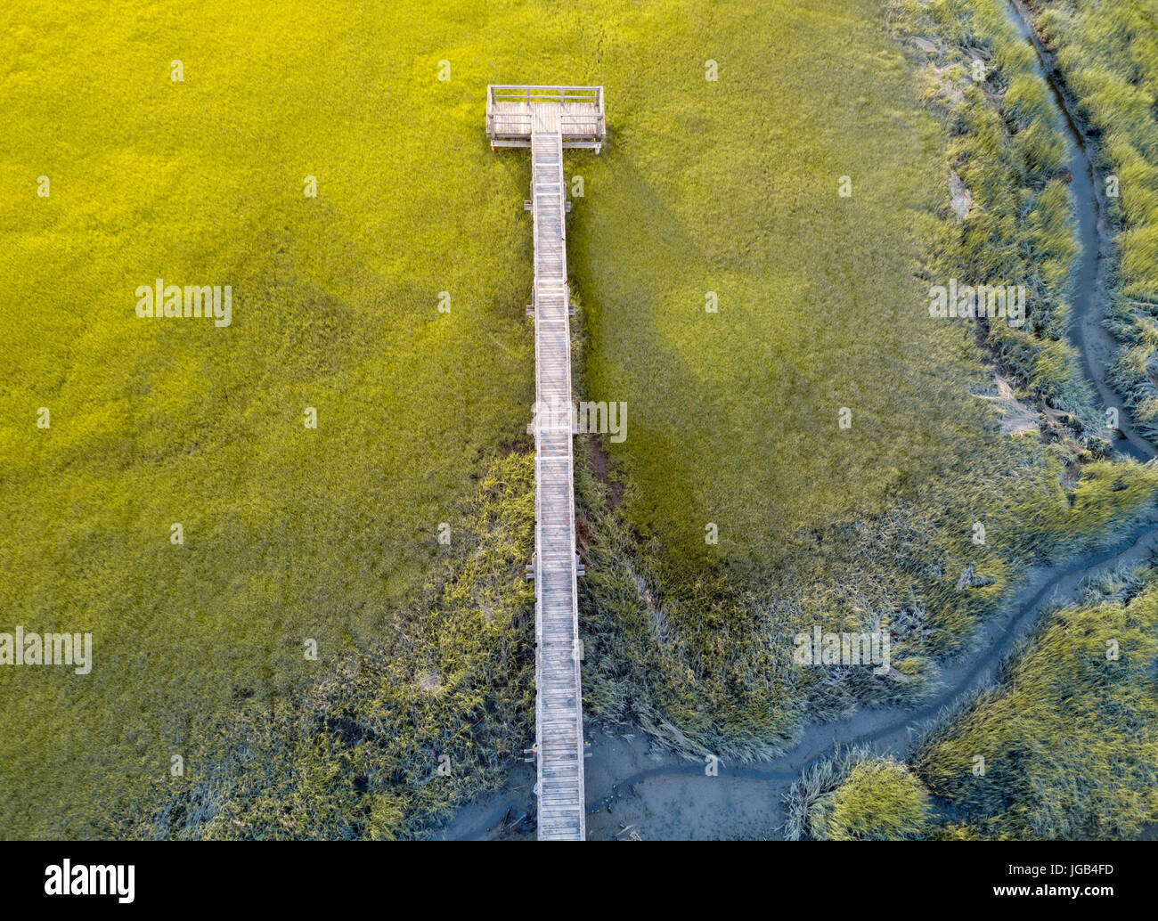 Wooden pathway over swamp hi-res stock photography and images - Alamy