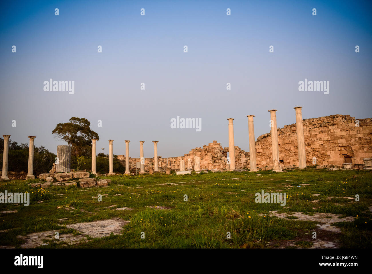 Salamina hi-res stock photography and images - Alamy