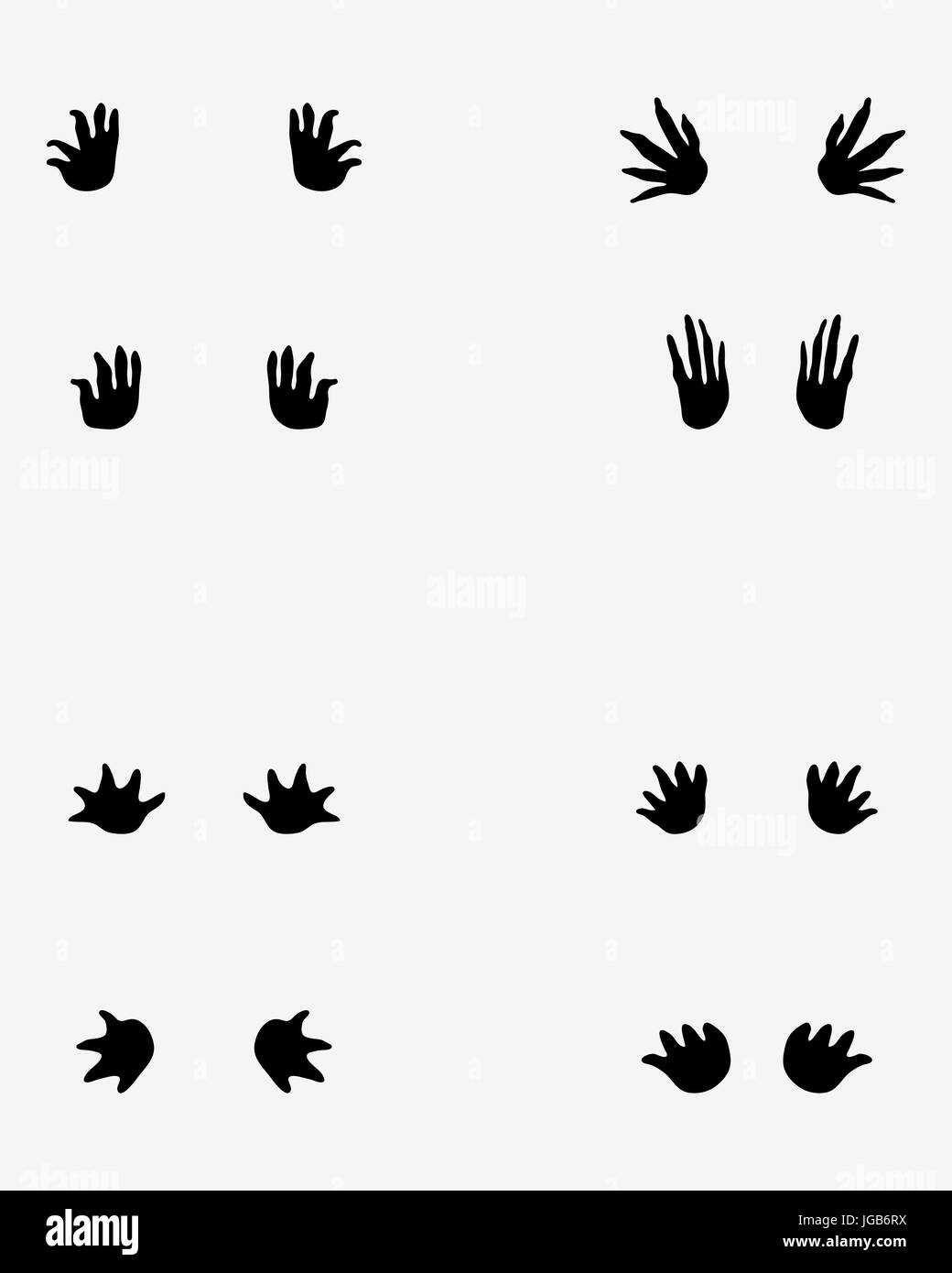 Animal footprint Black and White Stock Photos & Images - Alamy