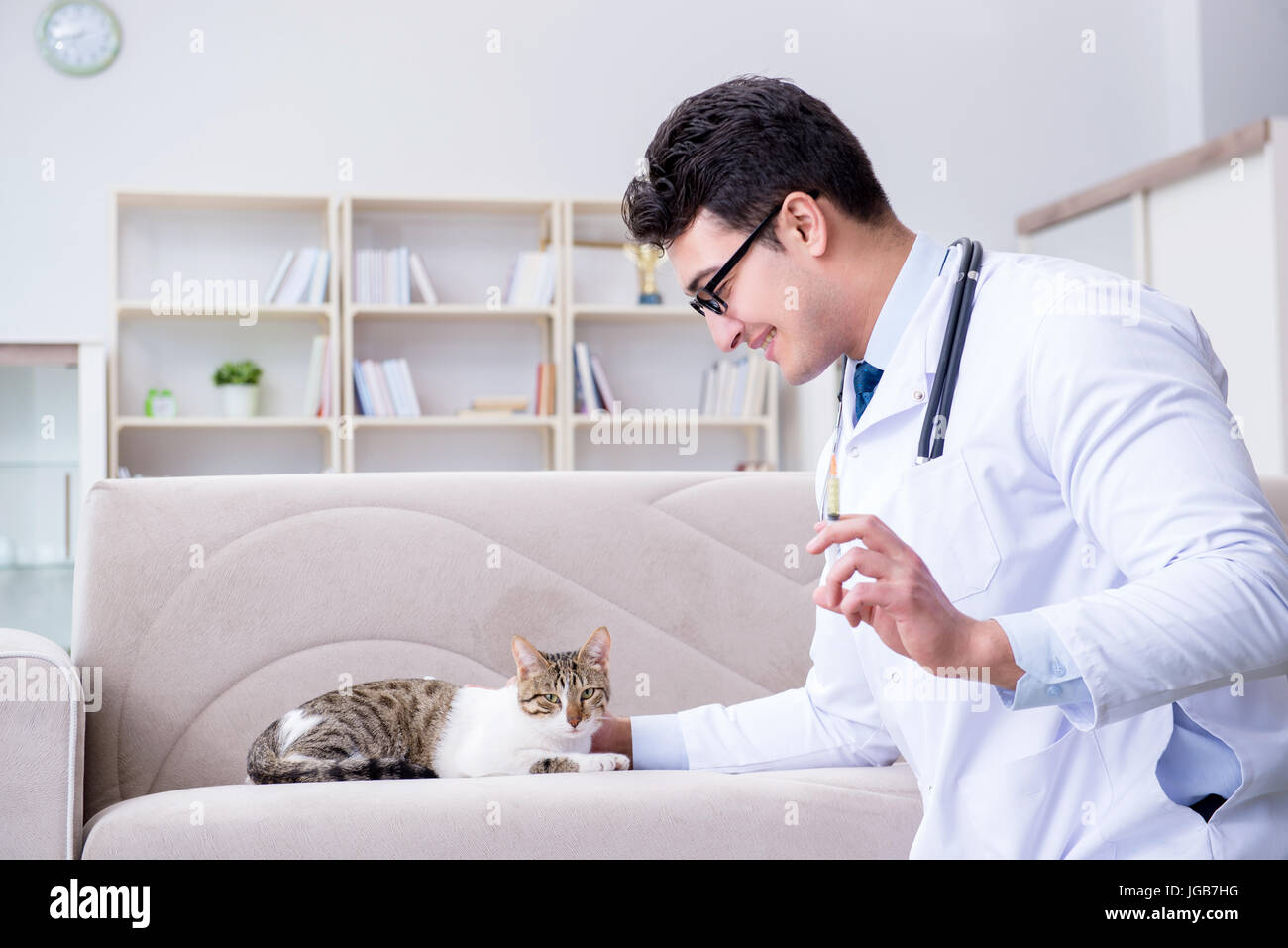 Cat visiting vet for regular check up Stock Photo - Alamy