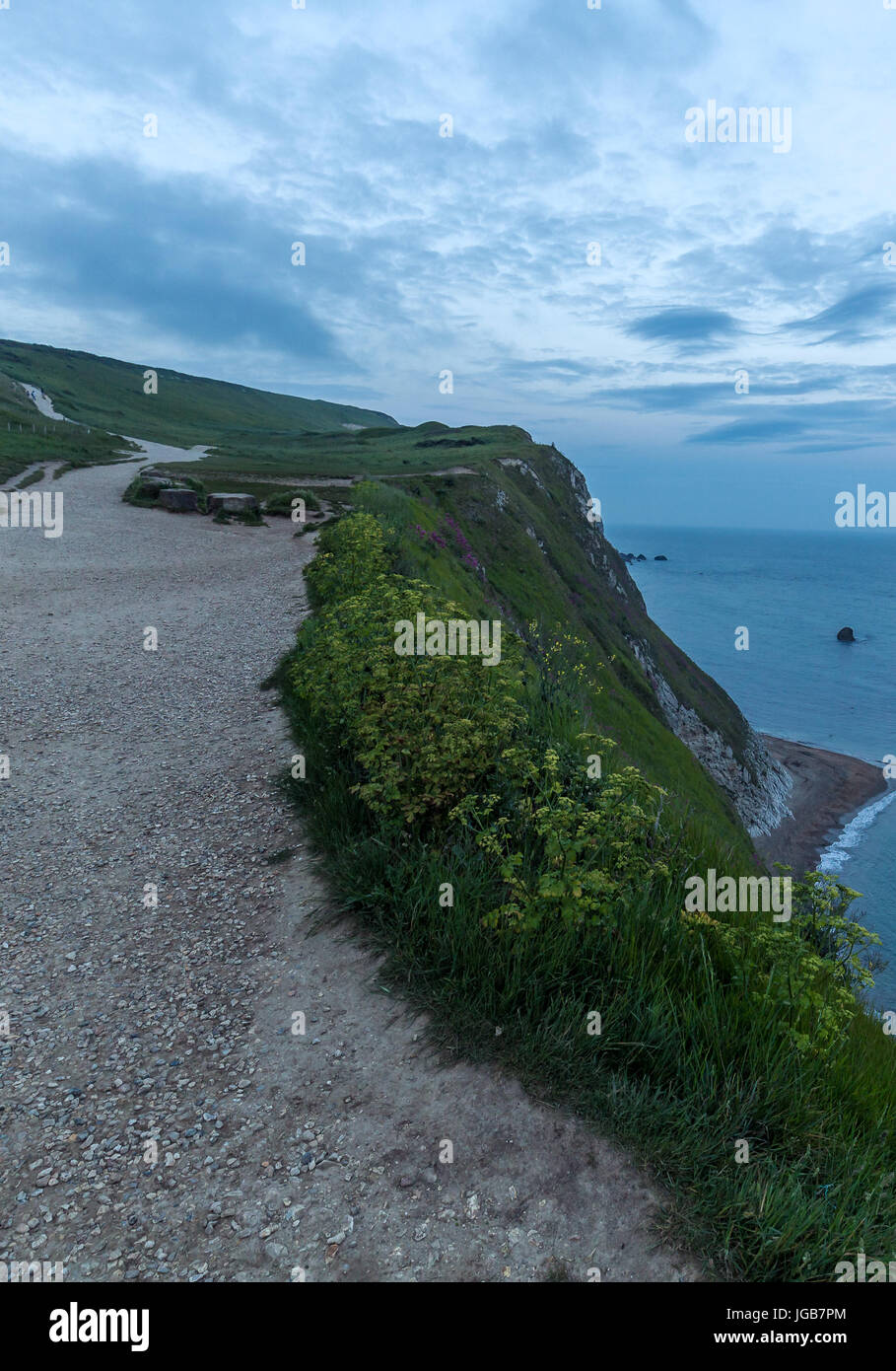 Pathway on top of jurassic coast in dorset England Stock Photo - Alamy