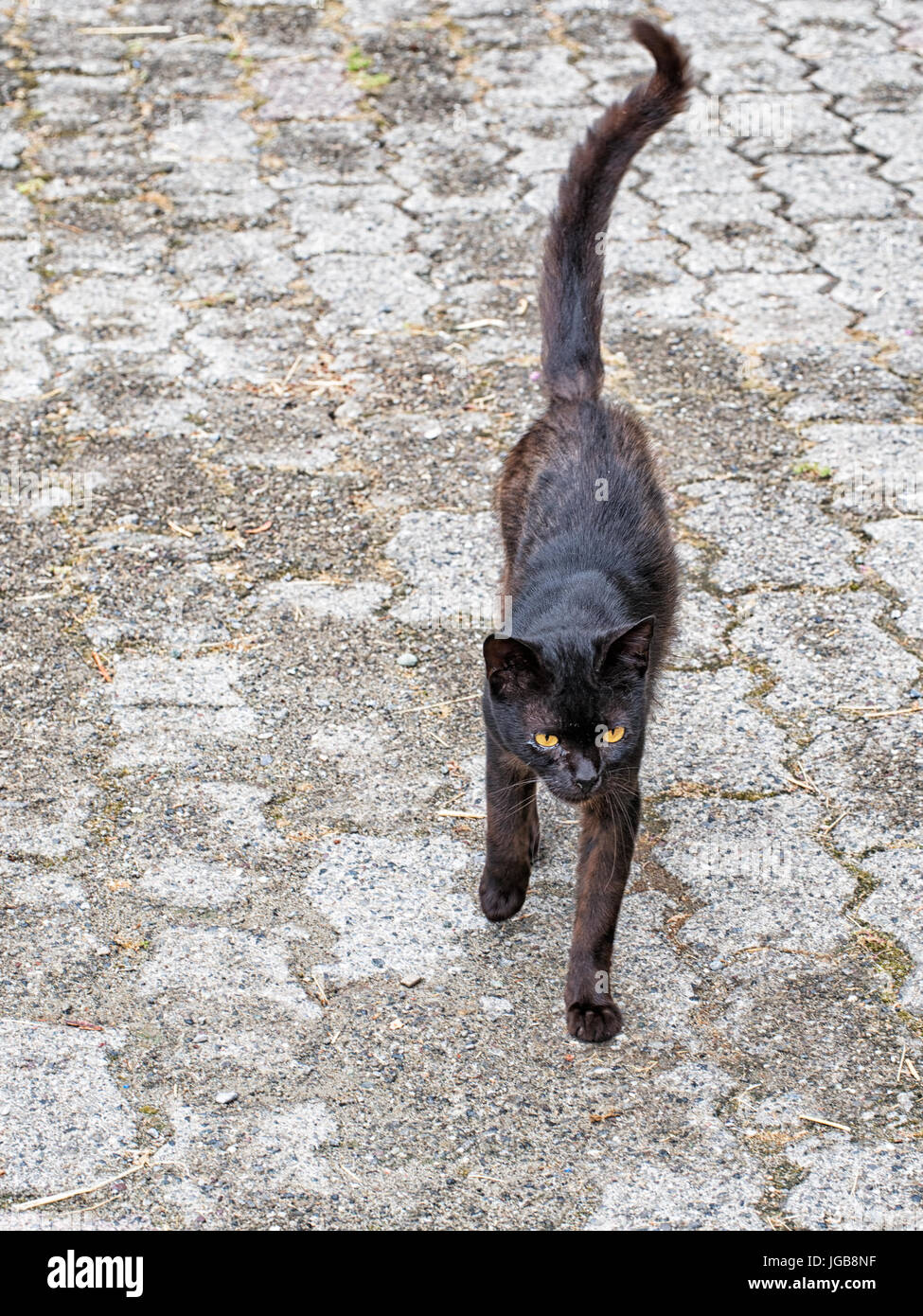 Lean towards hi-res stock photography and images - Alamy