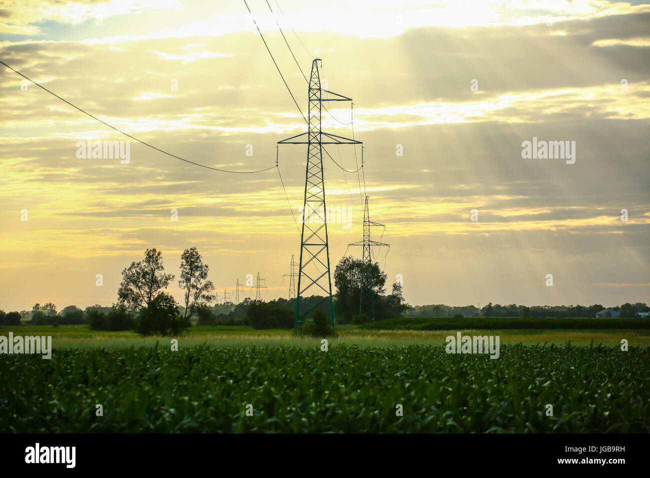 Electricity power lines in rural landscape Stock Photo - Alamy